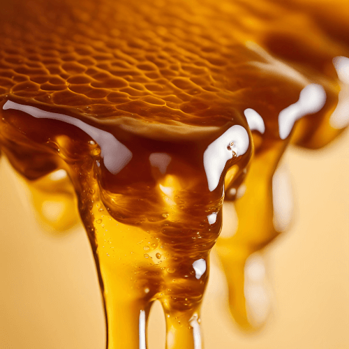 Himalayan Raw Honey Collection - Pure Sweetness from Nature – Himfood